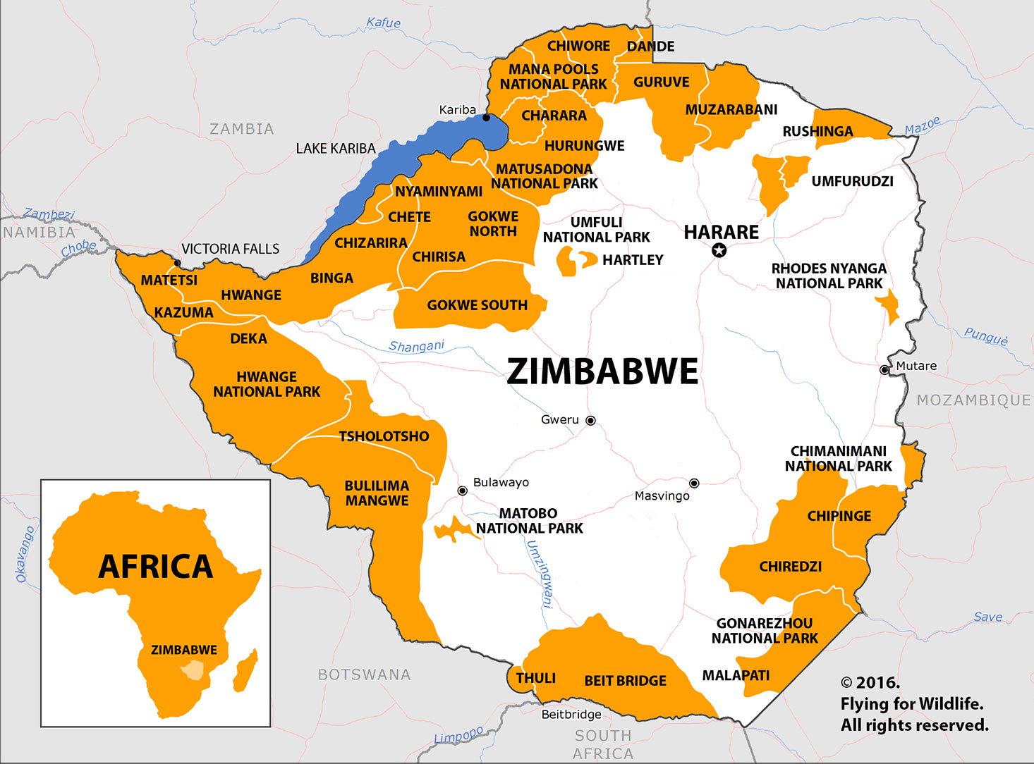 Help save Zimbabwe's wildlife and environment | Flying for Wildlife Trust